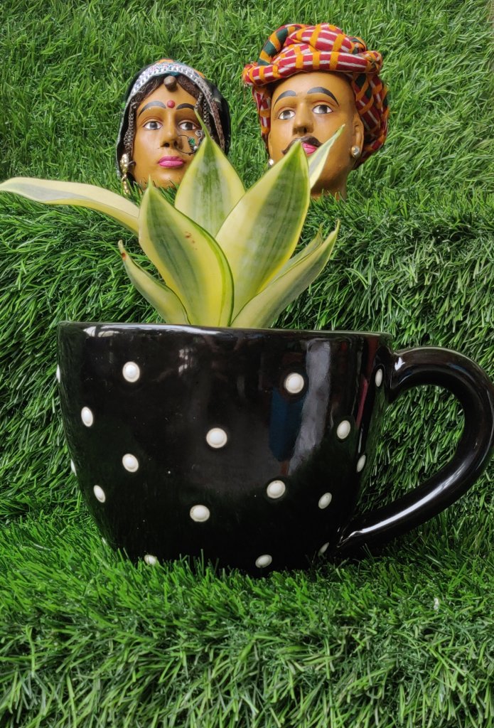 Giant Mug planter – Akisha